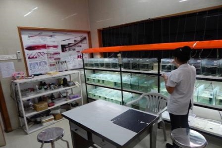 MGM School of Biomedical Sciences Navi Mumbai | Home